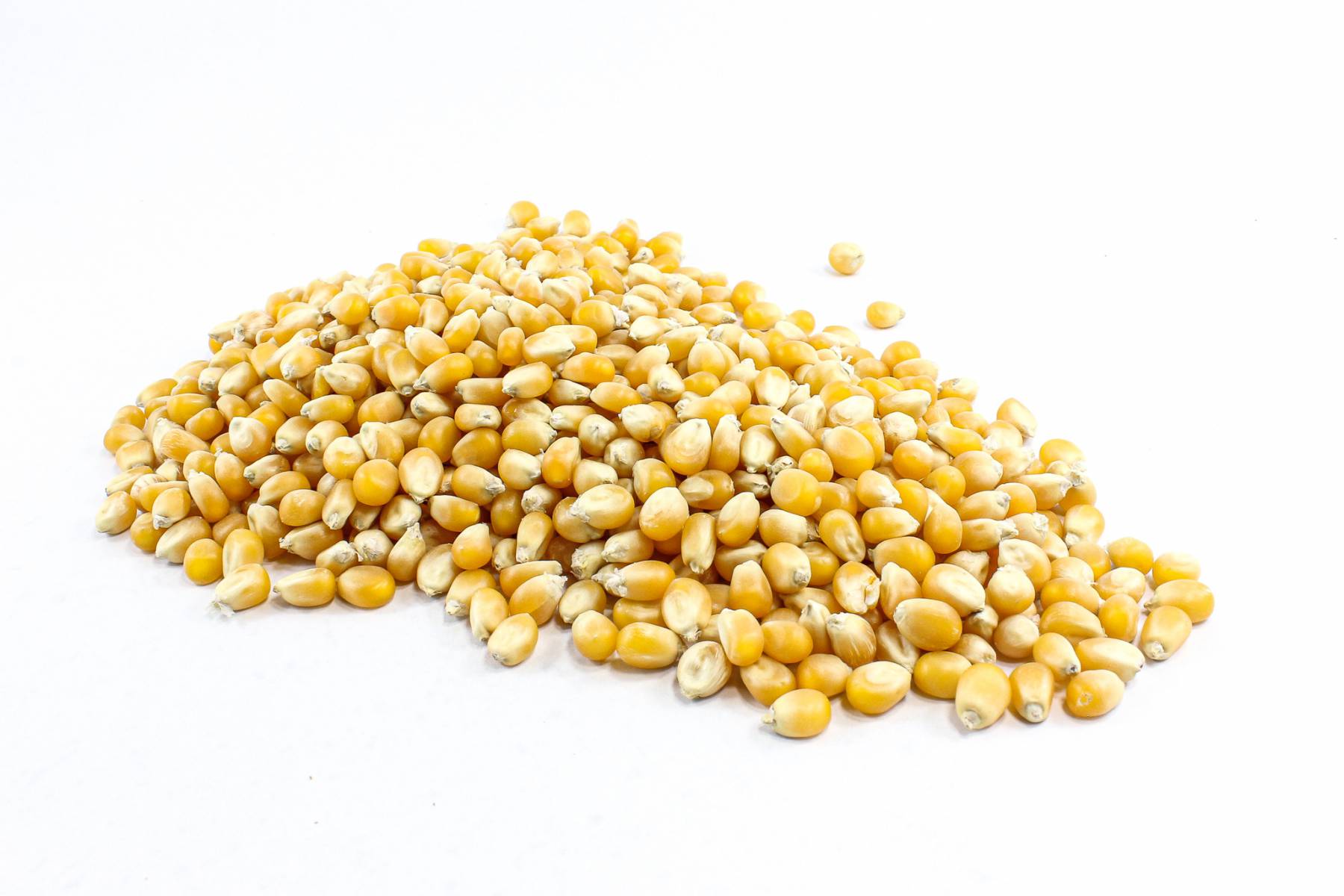 Popping Corn Organic – The Source Bulk Foods